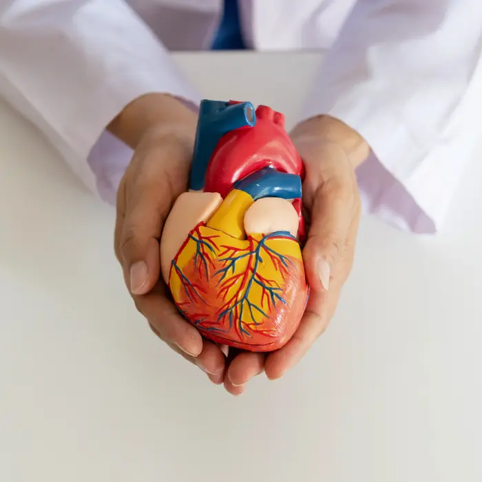 PERKI SUMUT | PERKI Sumatera Utara